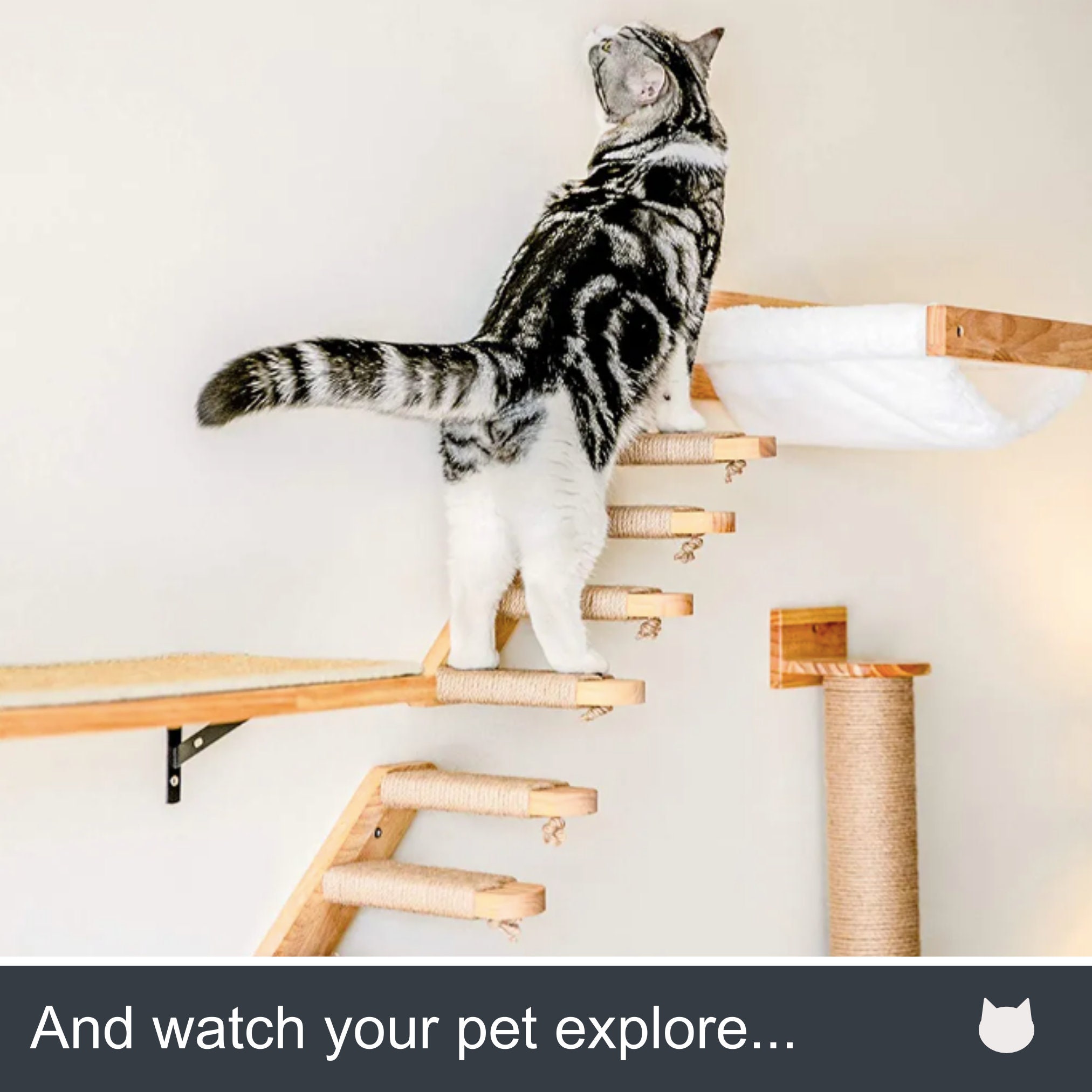 Cat Shelves, Cat Climbing Wall, Cat Wall Shelves Cat Playground ...