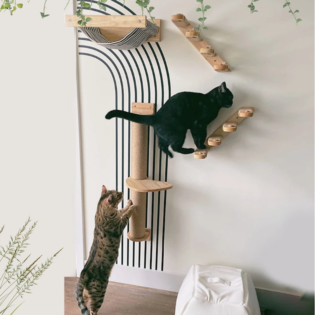Cat Climbing Wall, Cat Wall Furniture, Cat Shelves Cat Playground ...