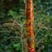 Handmade Walking Sticks Made of Wood and Decorated With Pyrography and ...