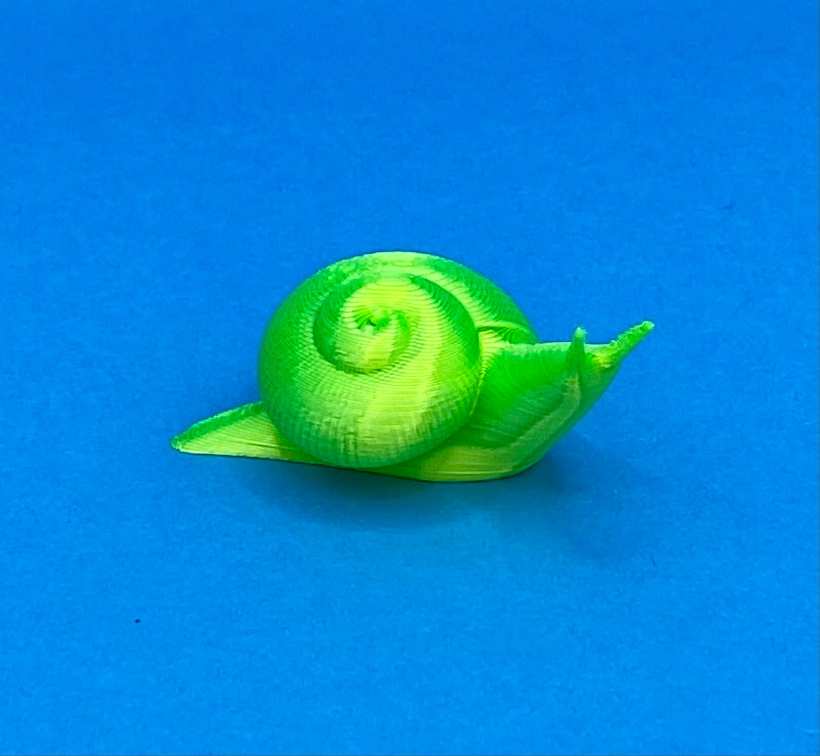 3D Printed Snail - Etsy