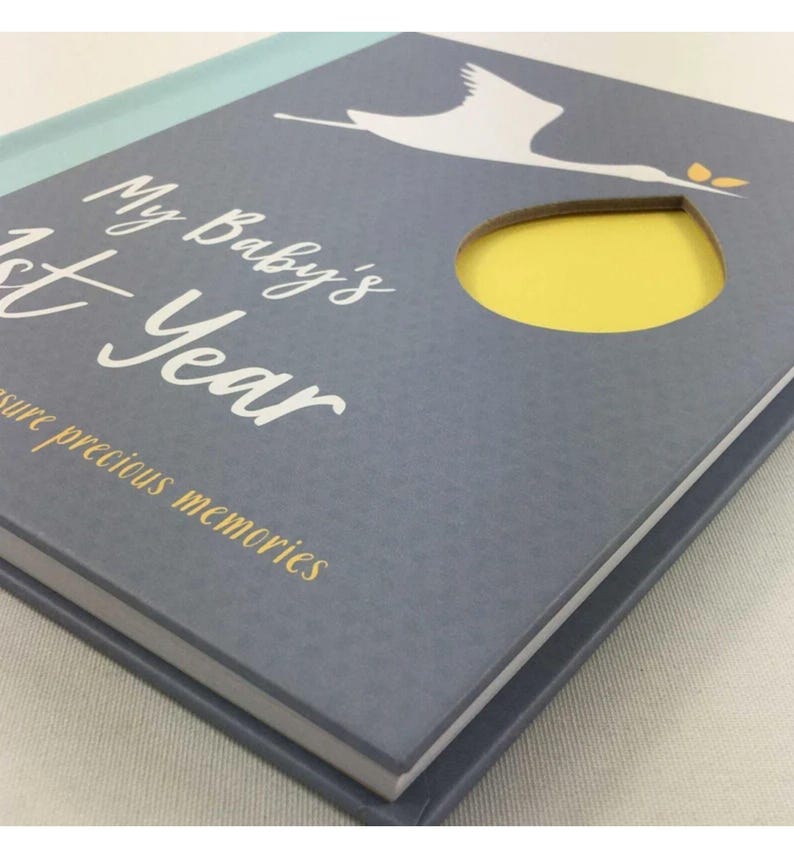 Baby's First Year Memory Book: Newborn Keepsake Journal - Etsy UK