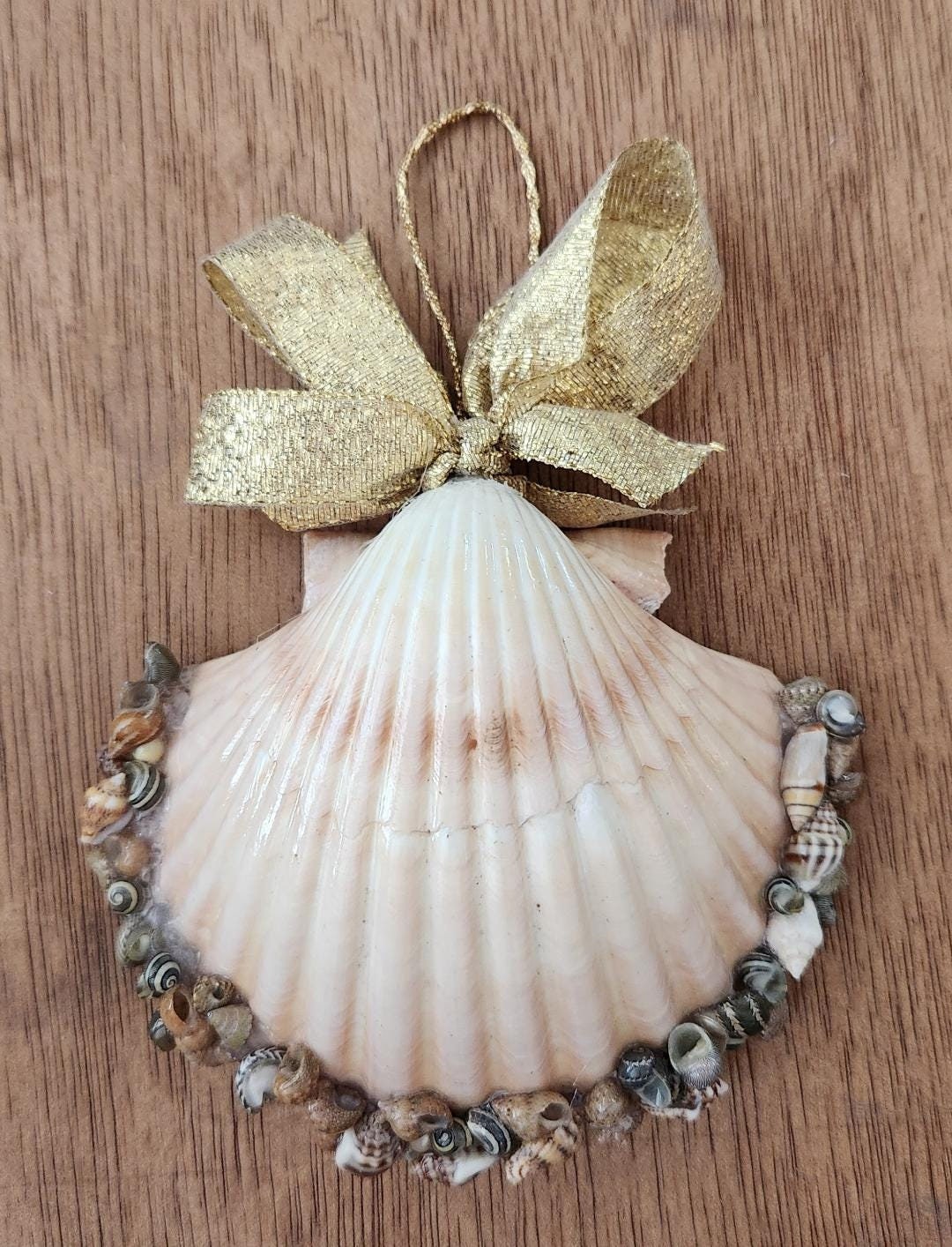Natural Scalloped Sea Shell, Ornaments, Christmas, Coastal, Beach, Gift - Etsy