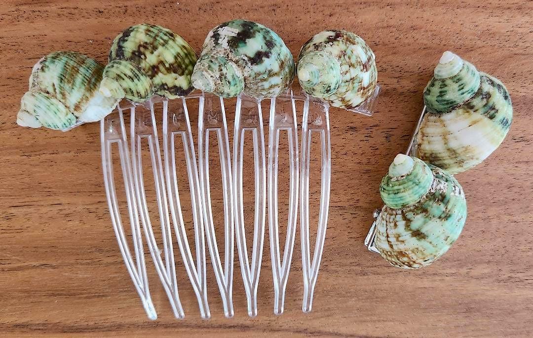 Green Turbo Shells, Hair Comb, Hair Clip, Beach, Coastal, Ocean, Gift ...