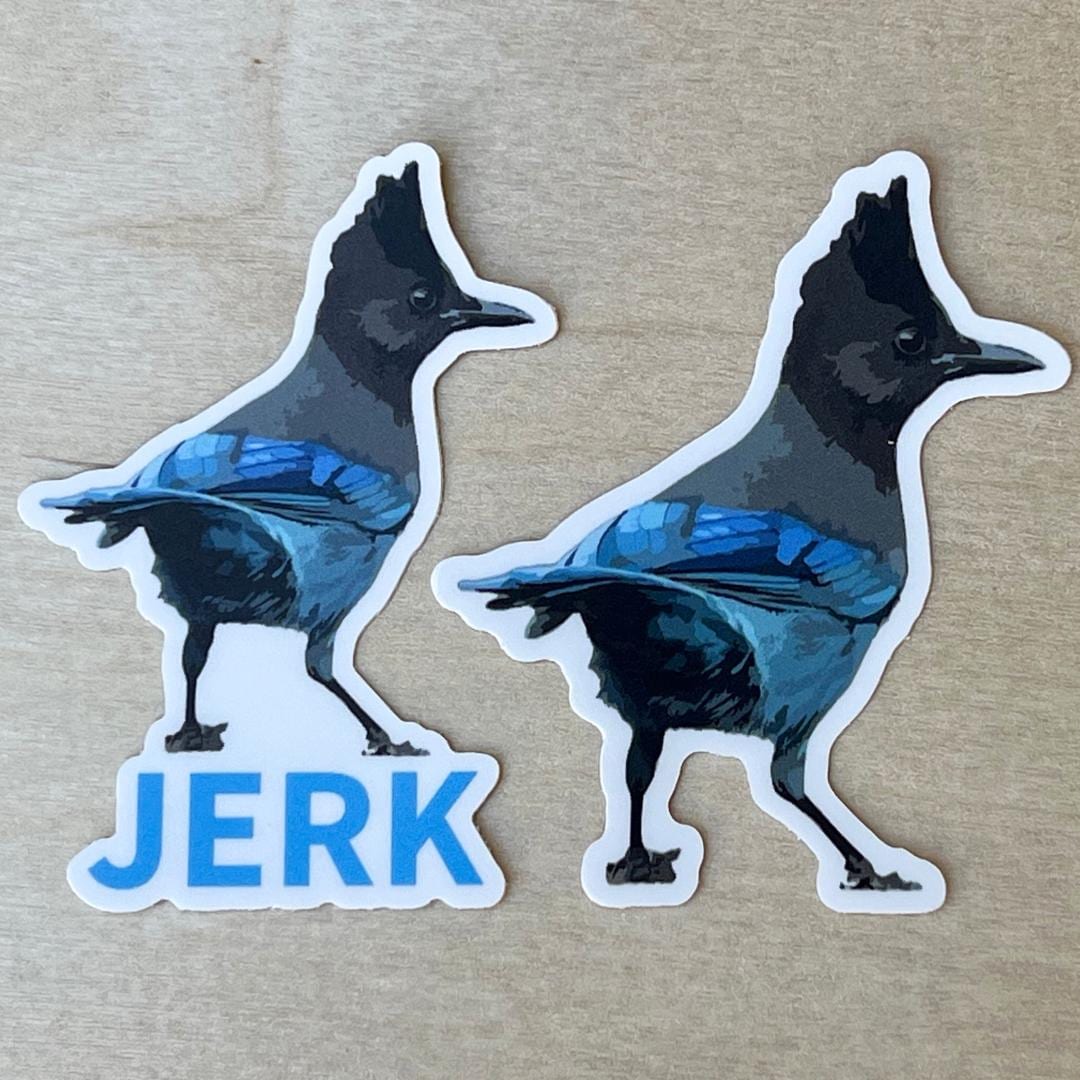Steller’s Jay Jerk Bird Vinyl Sticker, Corvid Fan, Gift for Birdwatcher ...