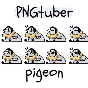 Pigeon Pngtuber | Cute Vtuber Model | Chibi | Pigeon | Dove | Twitch ...