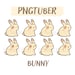 Bunny Pngtuber Pack | Cute Vtuber Model | Chibi | Bunny | Rabbit ...