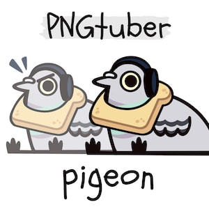 Pigeon Pngtuber | Cute Vtuber Model | Chibi | Pigeon | Dove | Twitch ...
