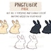Bunny Pngtuber Pack | Cute Vtuber Model | Chibi | Bunny | Rabbit ...