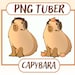 Cat Pngtuber Ginger Cat Orange Cat Cute Vtuber Model Chibi Kitty Twitch ...