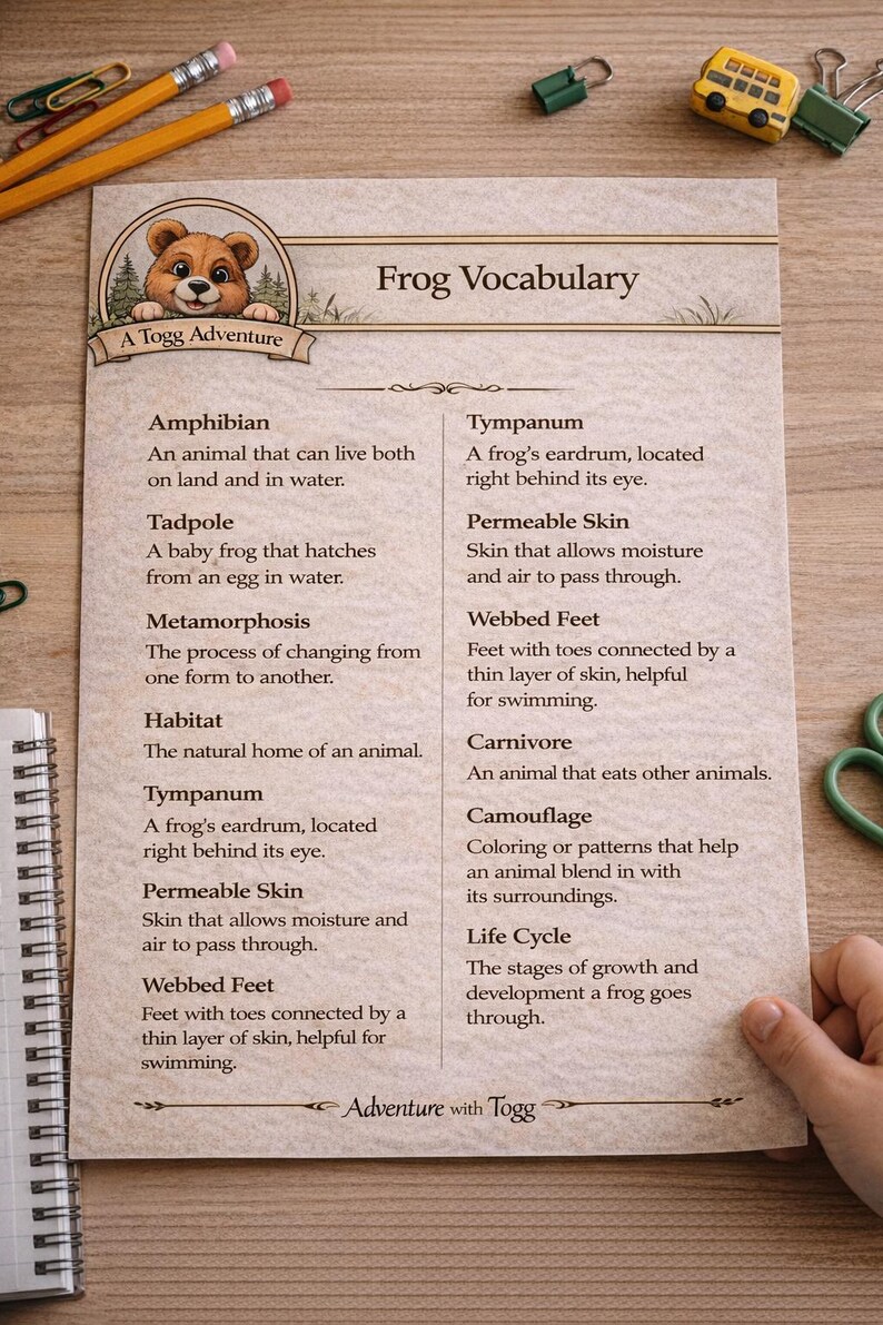 Frog Life Cycle Printable Activity Pack | Kids Homeschool Science Unit ...