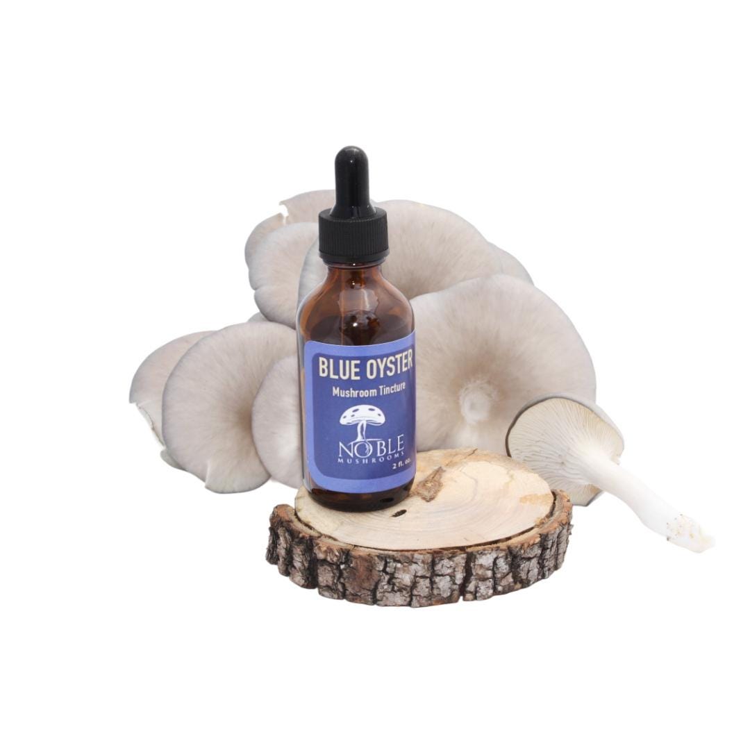 Blue Oyster Mushroom Tincture - Etsy
