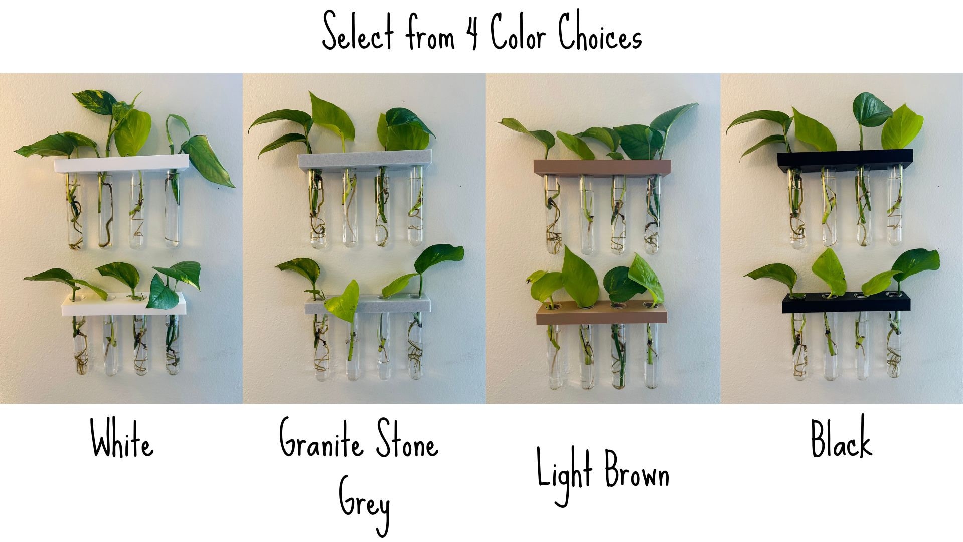 8” Floating Plant Propagation Wall Display, Botany Test Tube Vials for ...