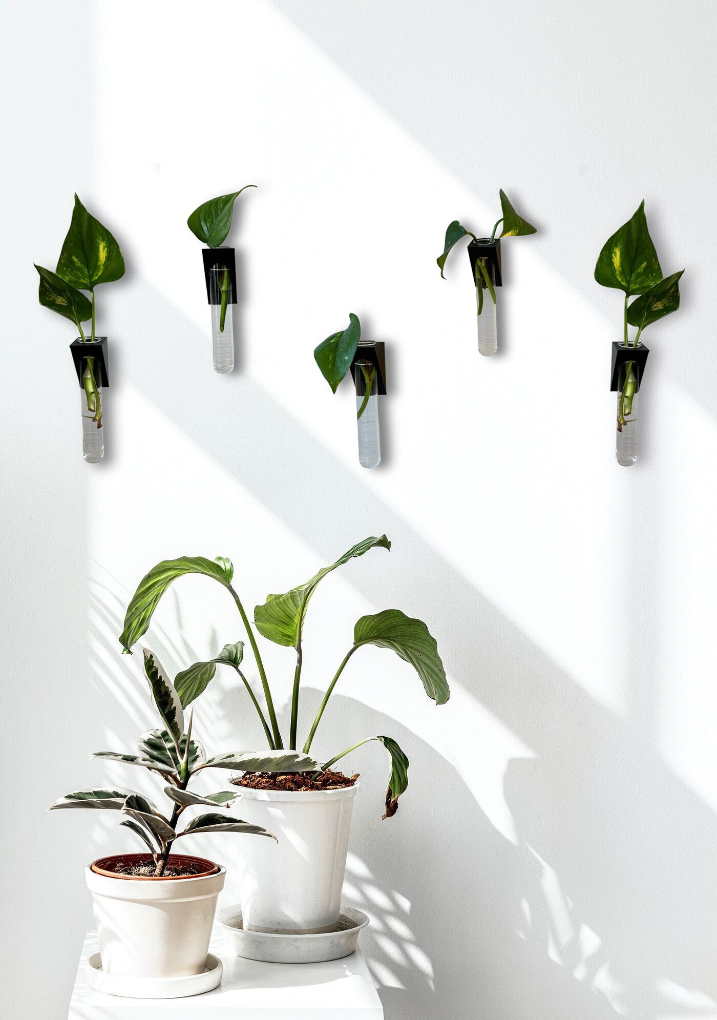 Set of 2 Triangle Wall Mount Vase for Plant Propagation, Test Tube ...