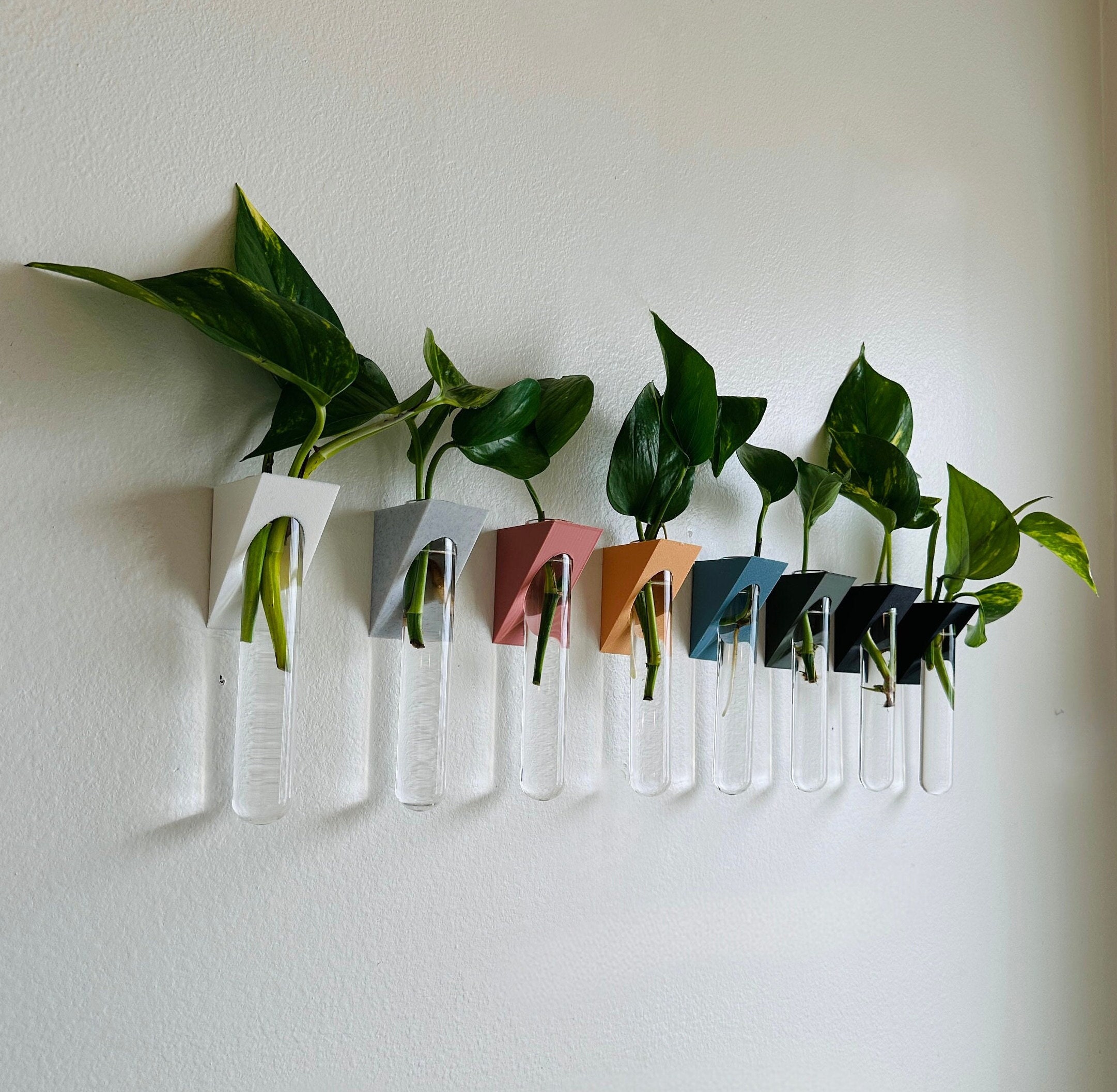 Set of 2+ Triangle Wall Mount Vase for Plant Propagation, Test Tube ...
