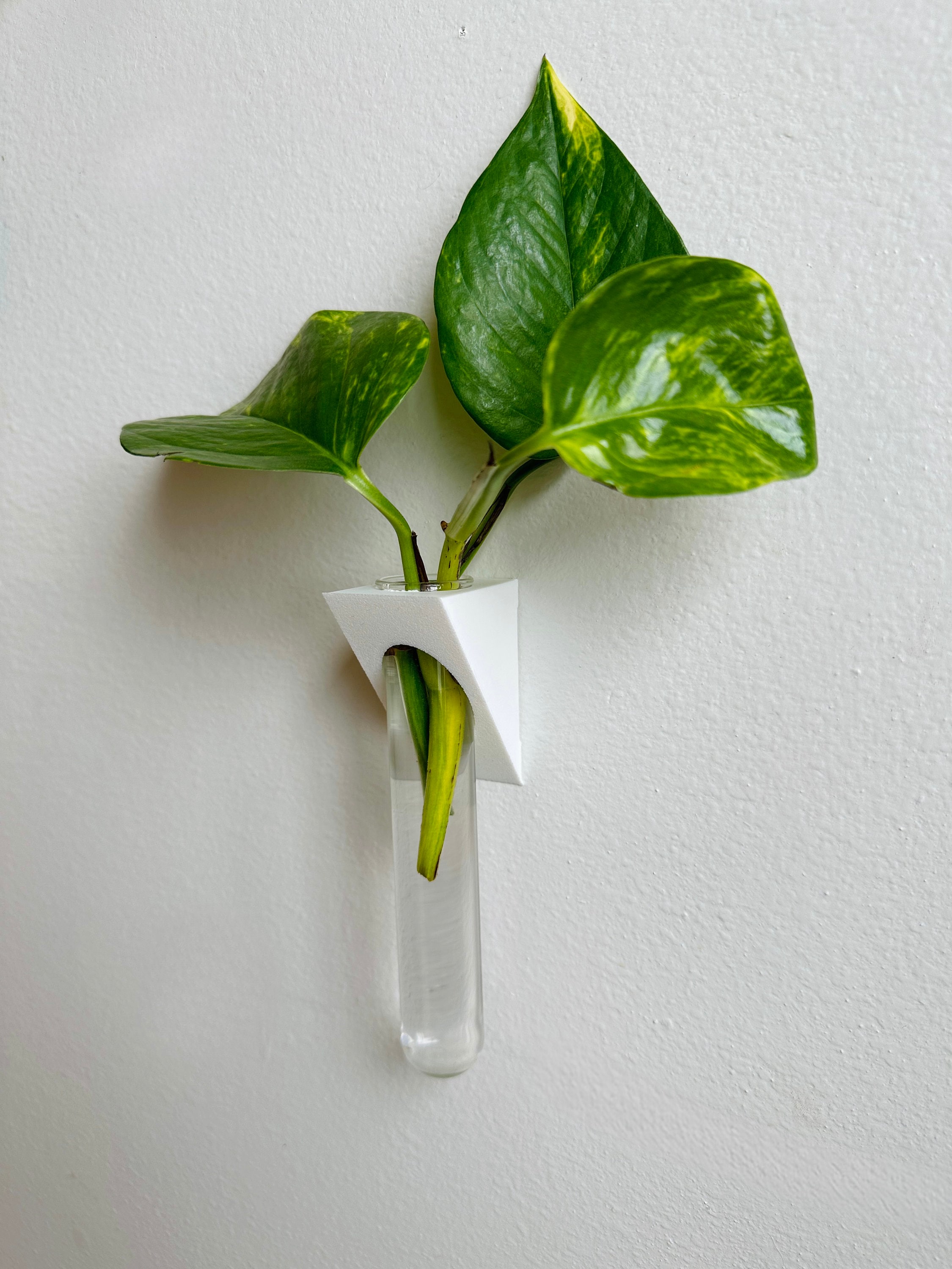 Set of 2+ Triangle Wall Mount Vase for Plant Propagation, Test Tube ...