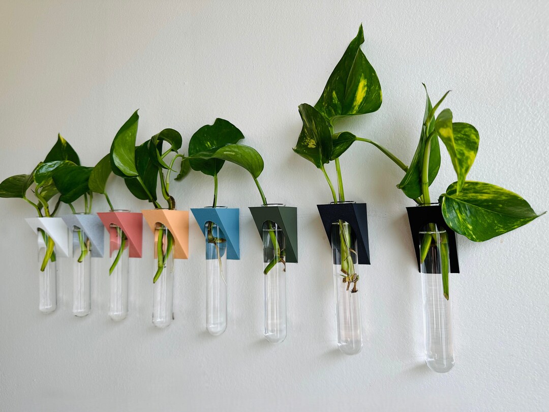 Set of 2+ Triangle Wall Mount Vase for Plant Propagation, Test Tube ...