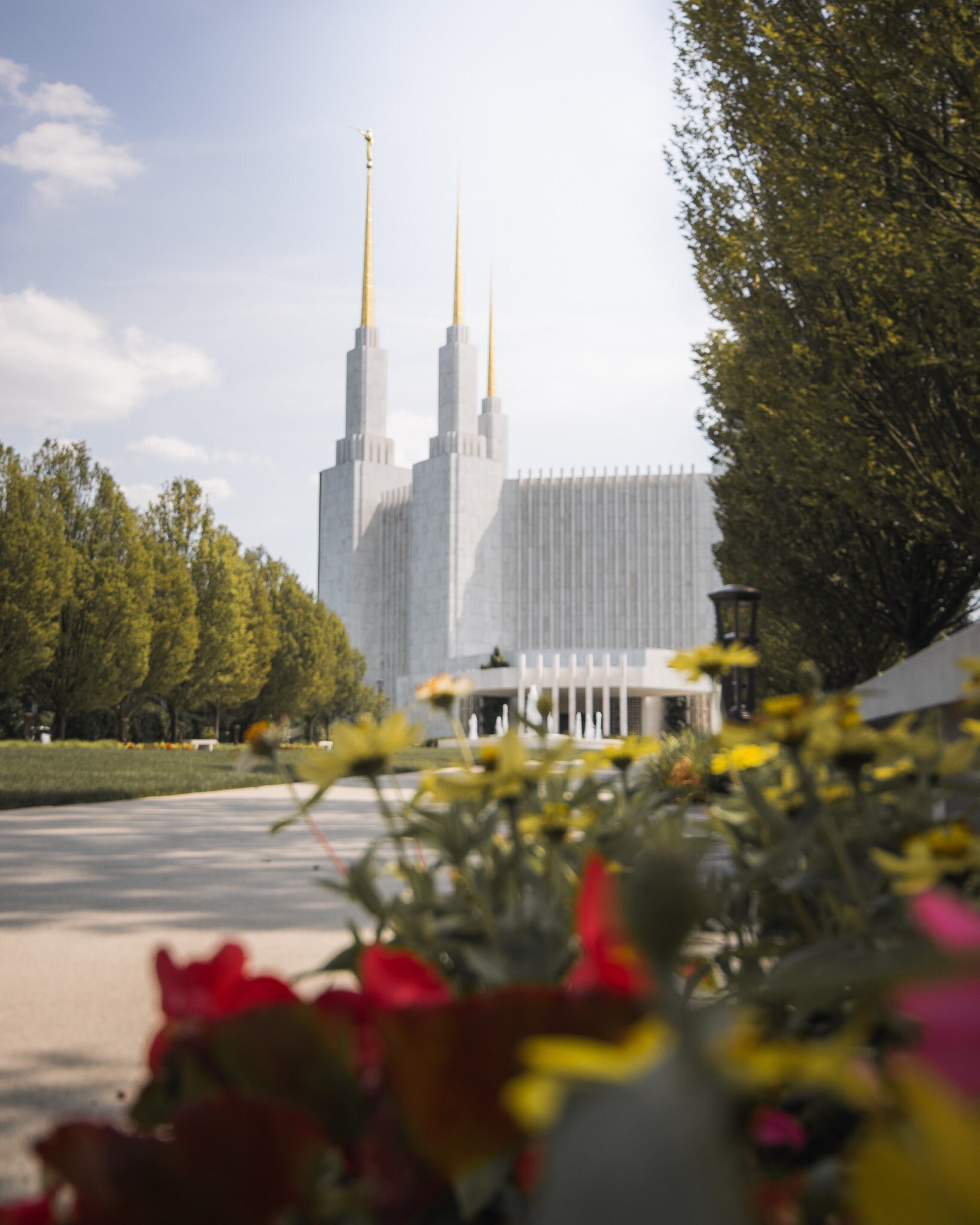 Washington DC Temple Photo | LDS Home Decor (digital Image) - Etsy