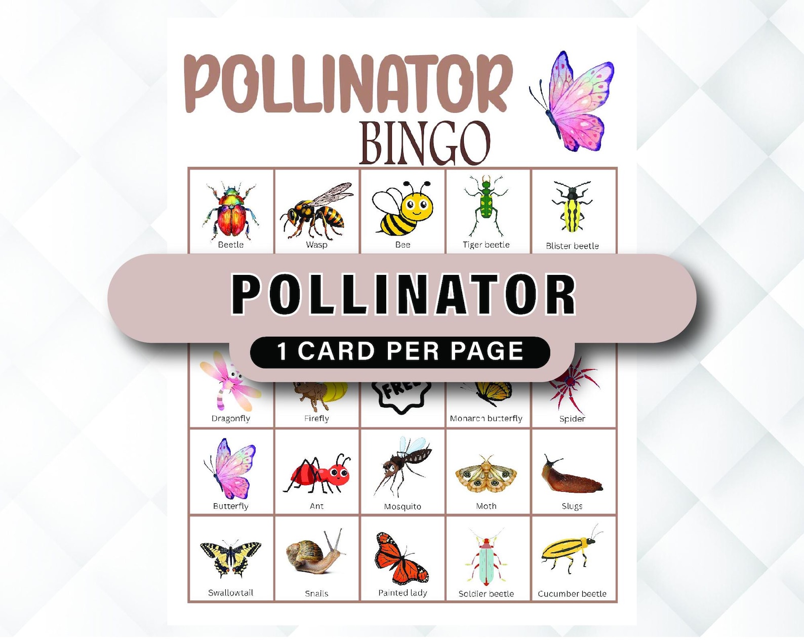 Pollinator Bingo 60 Cards, Nature Bingo Cards, STEM Game for Kids ...