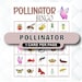 Pollinator Bingo 60 Cards, Nature Bingo Cards, STEM Game for Kids ...