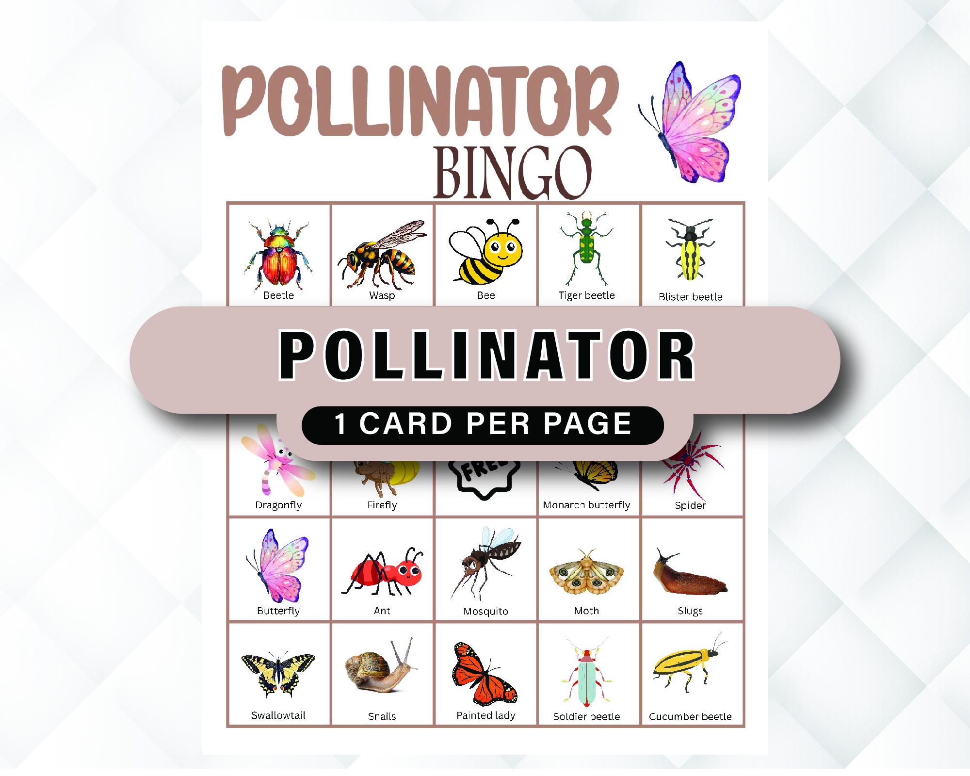Pollinator Bingo 60 Cards, Nature Bingo Cards, STEM Game for Kids ...