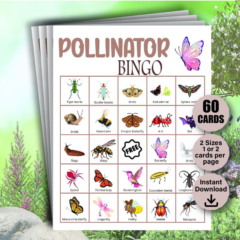 Thai Learning Card - Etsy