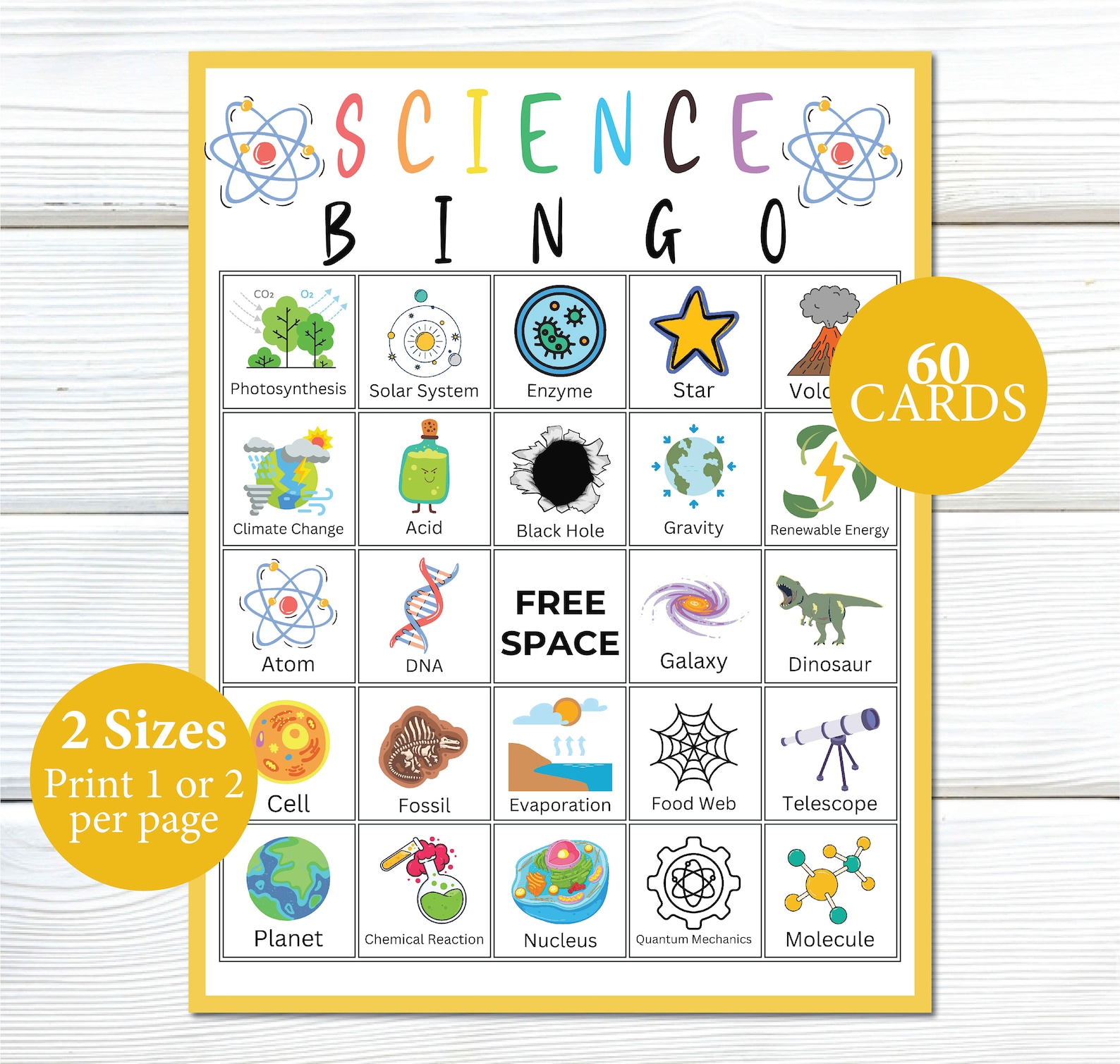 Science Bingo, 60 Printable Science Bingo Cards, Chemistry Bingo ...