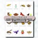 Pollinator Bingo 60 Cards, Nature Bingo Cards, STEM Game for Kids ...