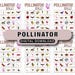 Pollinator Bingo 60 Cards, Nature Bingo Cards, STEM Game for Kids ...
