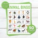 Animal Bingo, 50 Printable Animal Bingo Cards, Animal Birthday Bingo ...