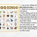 Zoo Bingo, 50 Printable Zoo Bingo Cards, Zoo Birthday Bingo, Animal ...