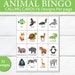 Animal Bingo, 50 Printable Animal Bingo Cards, Animal Birthday Bingo ...