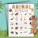 Jungle Safari Bingo Game, Printable, Kids Game, Birthday Game, Party ...