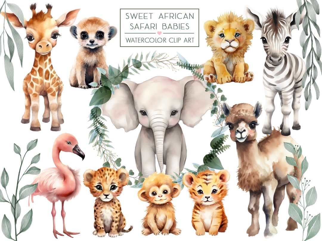 Baby Safari Animals Clip Art Giraffe Elephant Lion Tiger Leopard Monkey ...
