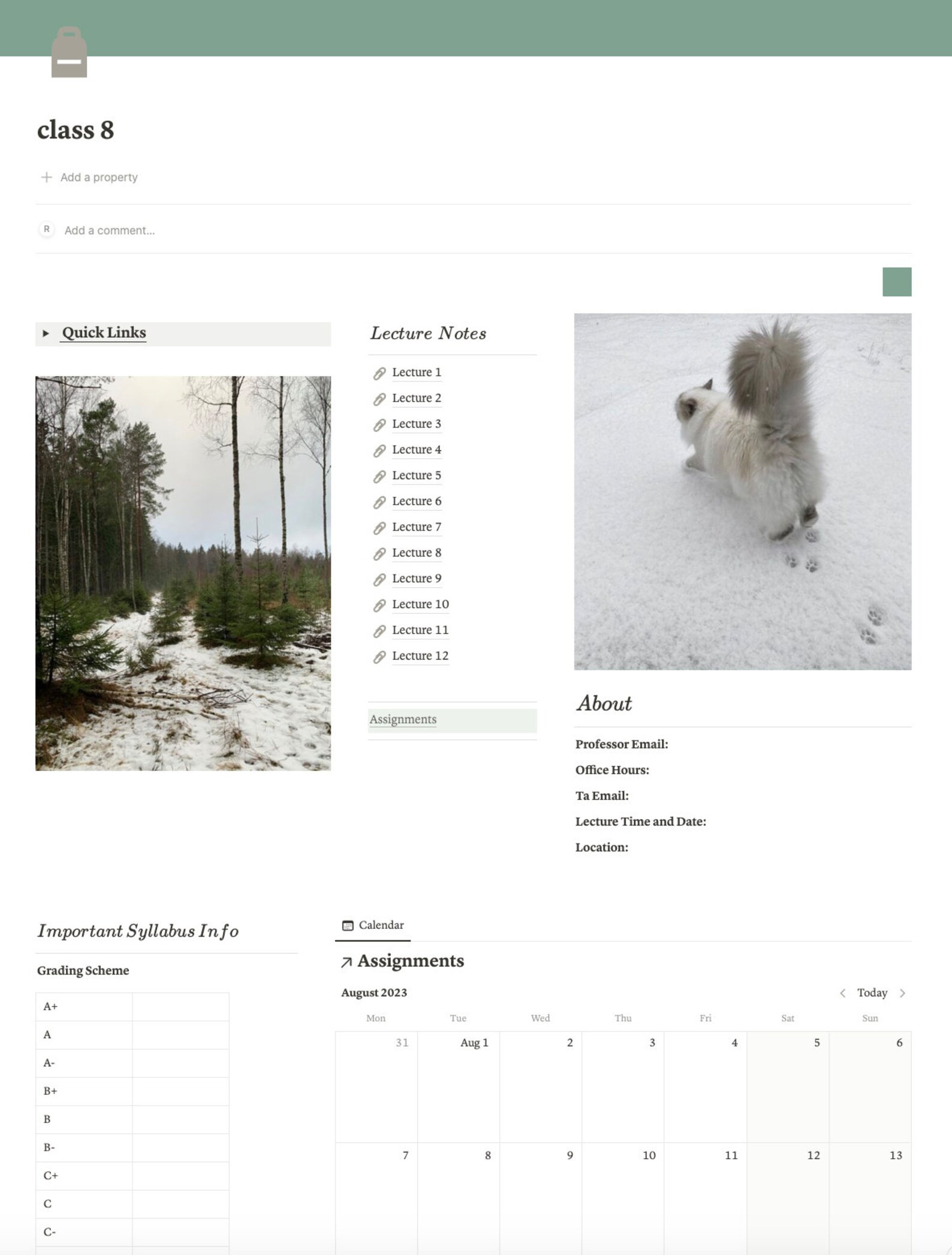 Cute Cottage Core Aesthetic Notion Template for Students - Etsy