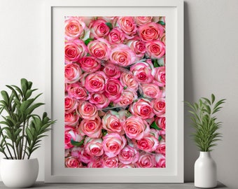 Paris Photo - Roses, Roses - Bouquet of Pink Roses in Parisian Flower ...