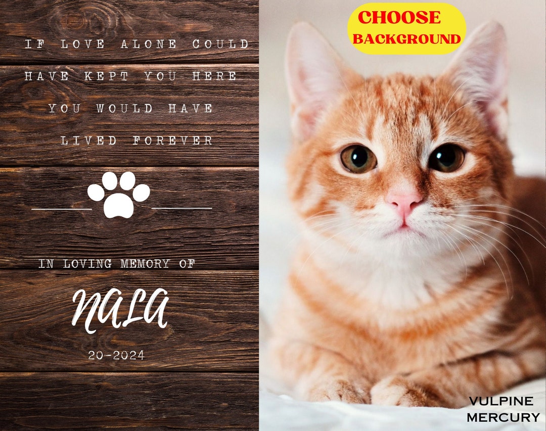 Personalized Cat Memorial Gift, Cat Memorial Gift, Custom Cat Lover ...