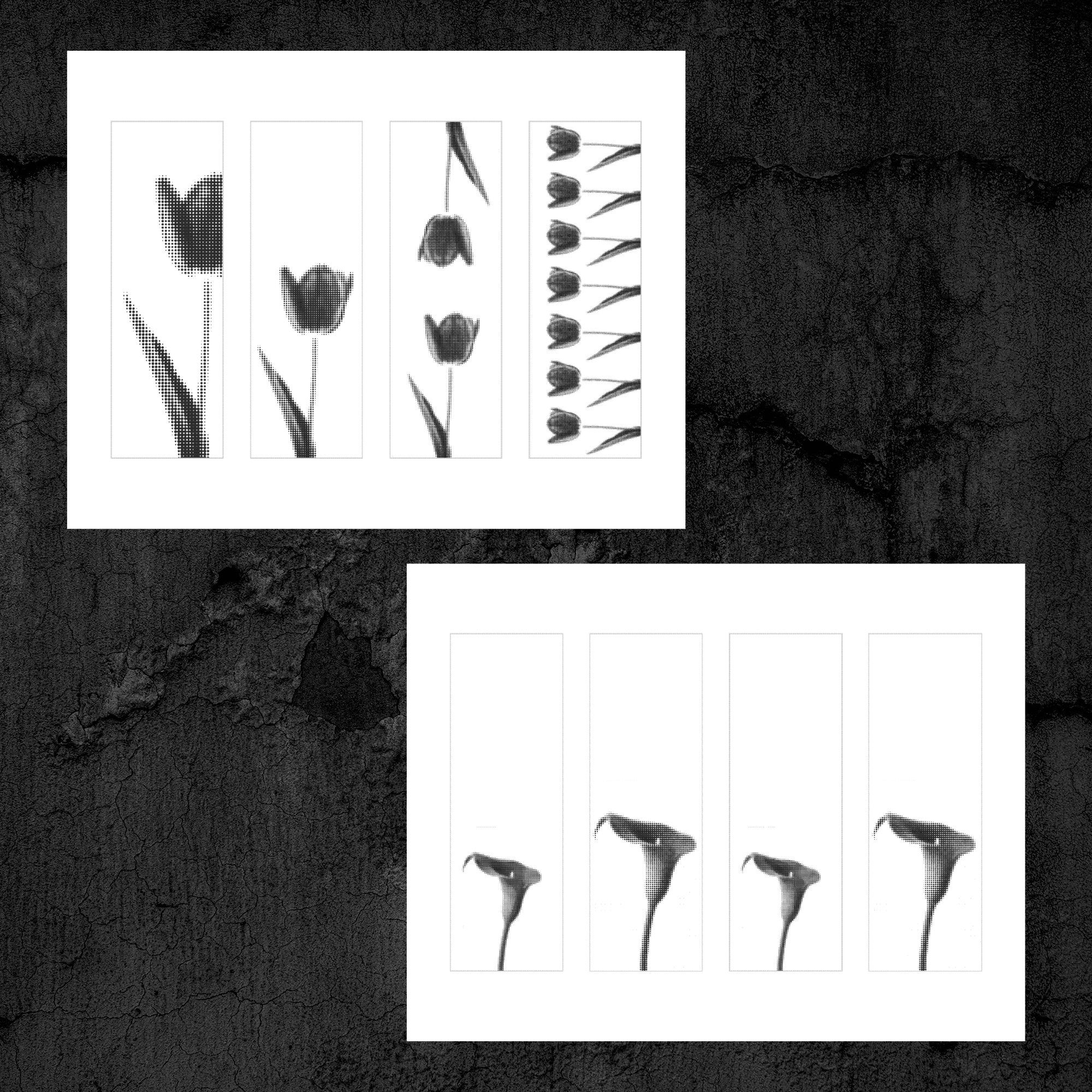 Printable Halftone Printable Bookmark Bundle of Black Cats Also 3 ...