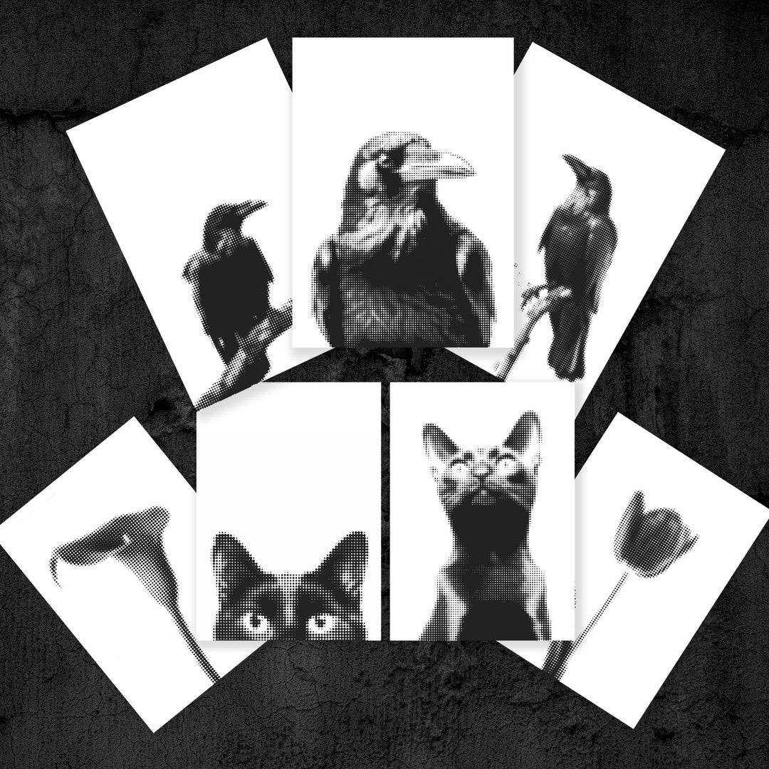 Printable Halftone Printable Cards Bundle of Black Cats Also 3 Ravens a ...