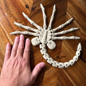 Alien Face Hugger Fidget Toy and Open Egg Sac - Etsy