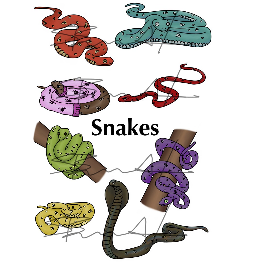Snake Clip Art - Etsy