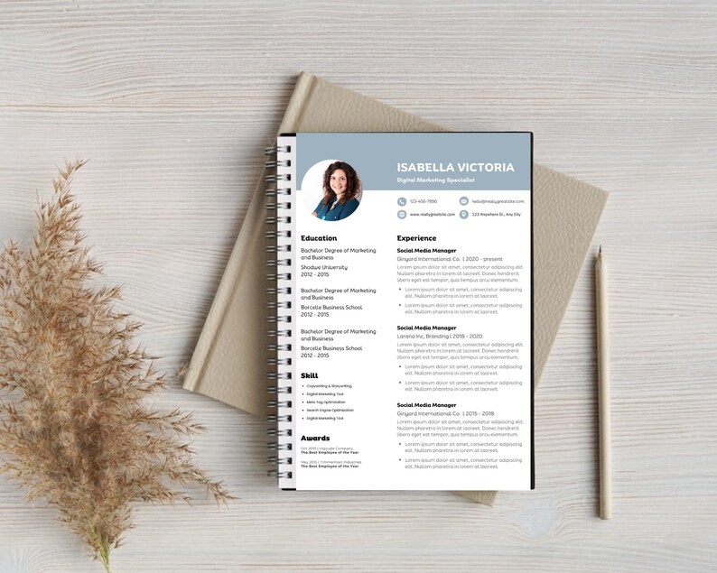 Professional Resume Template Word. CV Template Professional, Modern ...