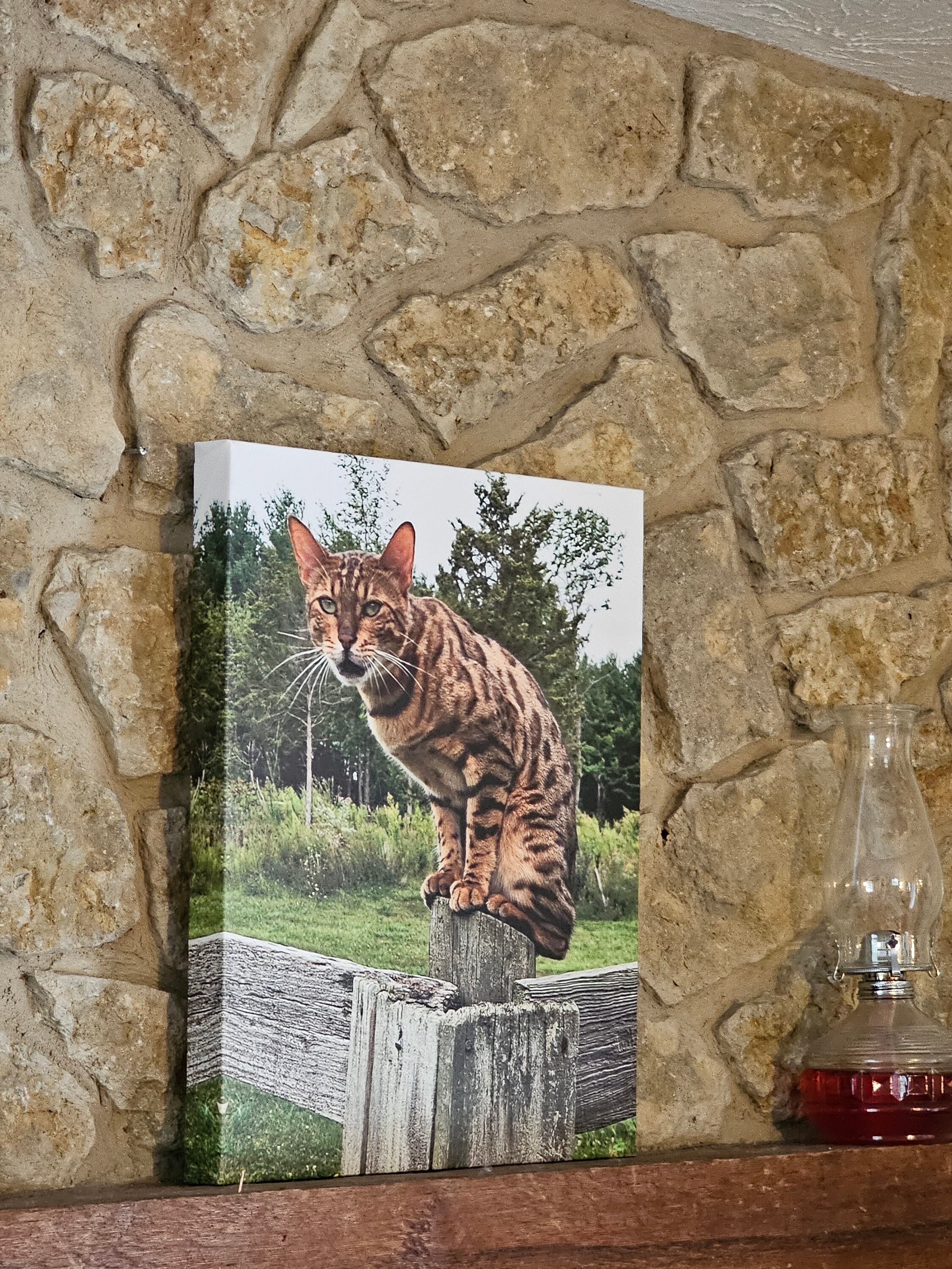 Cat Print, Cat Canvas Print, Leopard Print, Pet Prints, Wall ...