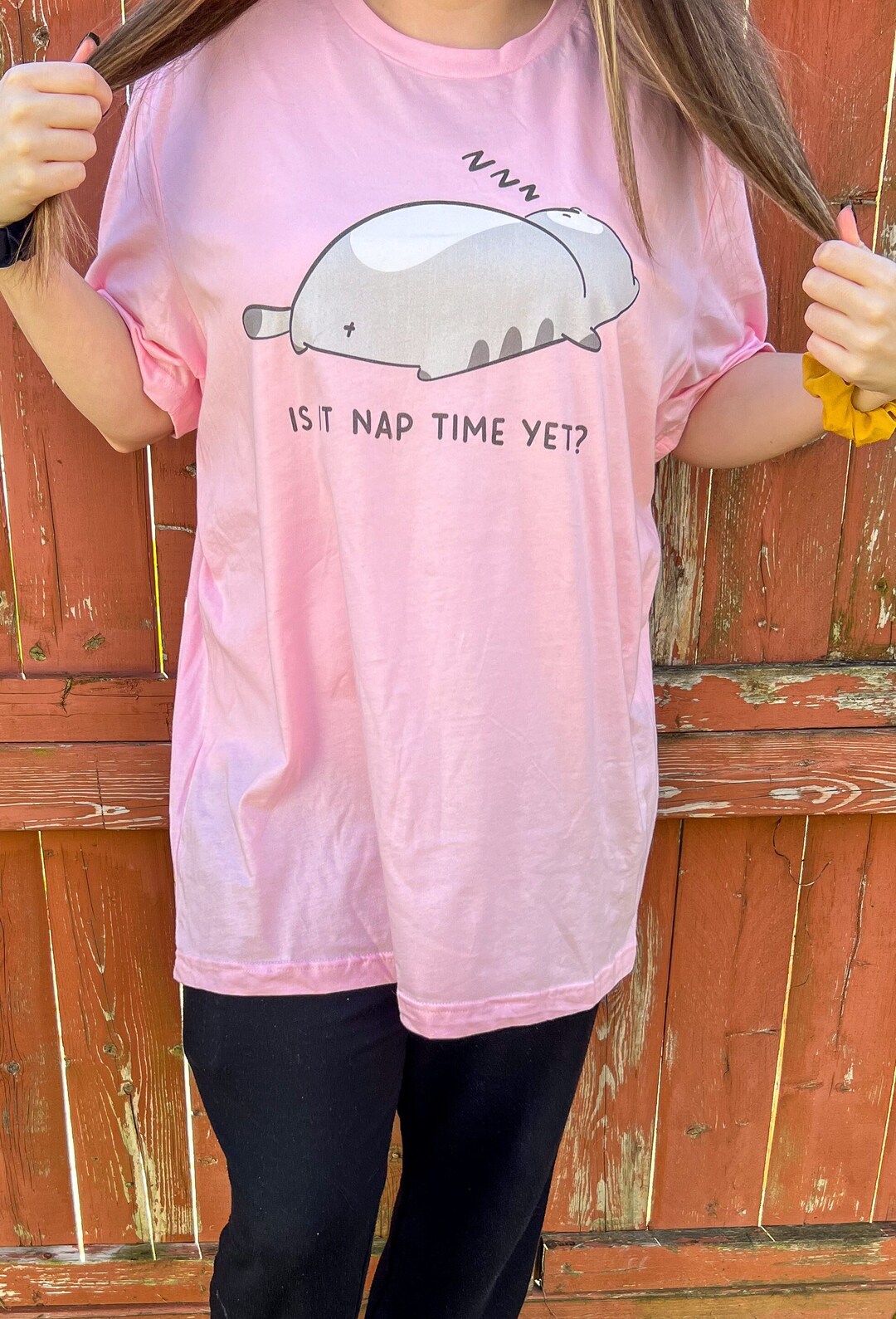 Is It Nap Time Yet? Sleeping Cat Shirt, Funny Mens Shirt, Cute Womens ...