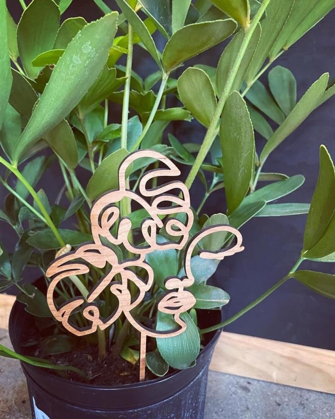 Monstera Girl 10 Inch Wooden Plant Stake Available in Maple - Etsy