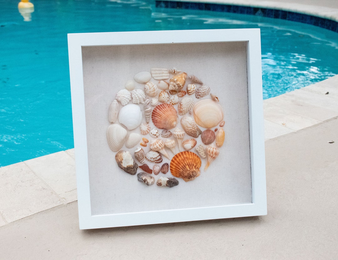 Shell Shadow Box Orange Gradient - Etsy