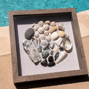 Shell Shadow Box Grey Scheme - Etsy
