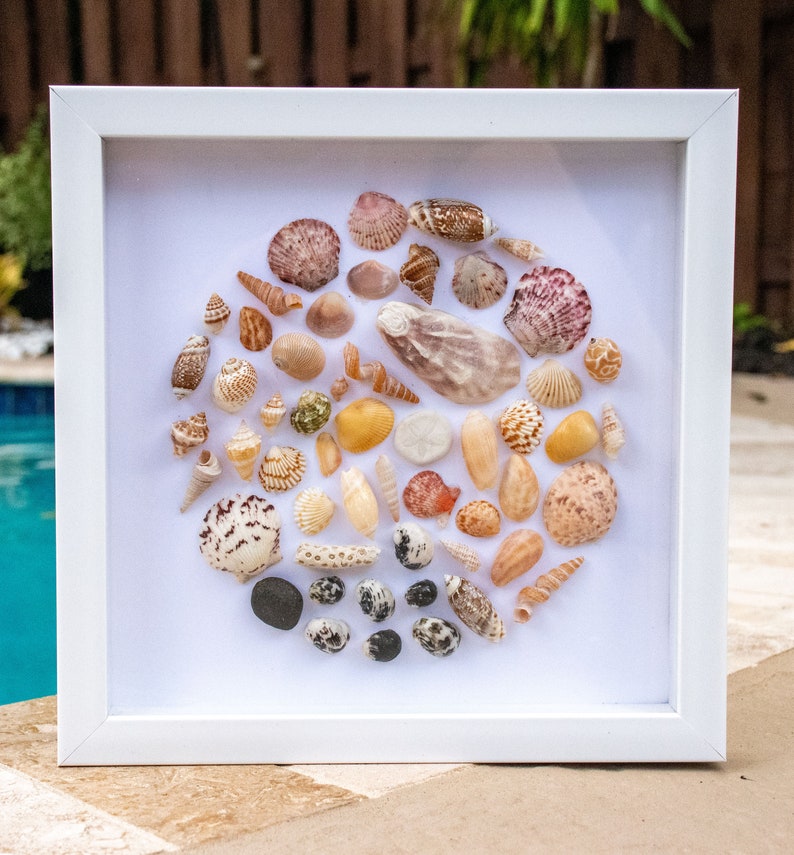 Shell Shadow Box - Etsy