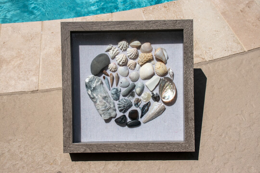 Shell Shadow Box Grey Scheme - Etsy