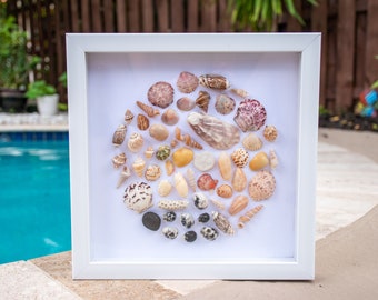 Colorful Shell Mandala Shadow Box Art With Glass Enclosure - Etsy