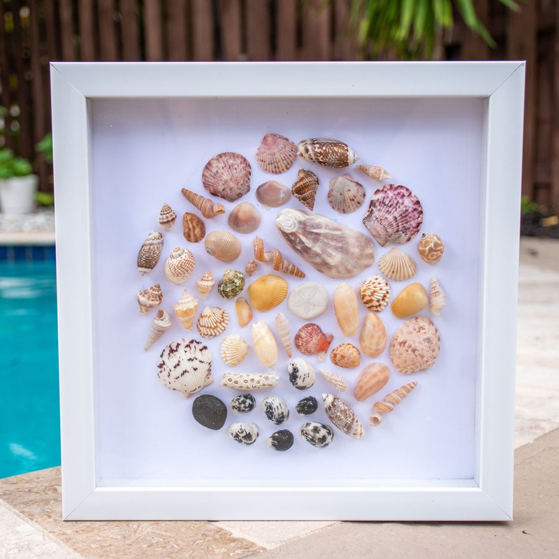 Shell Art Shadow Box - Etsy